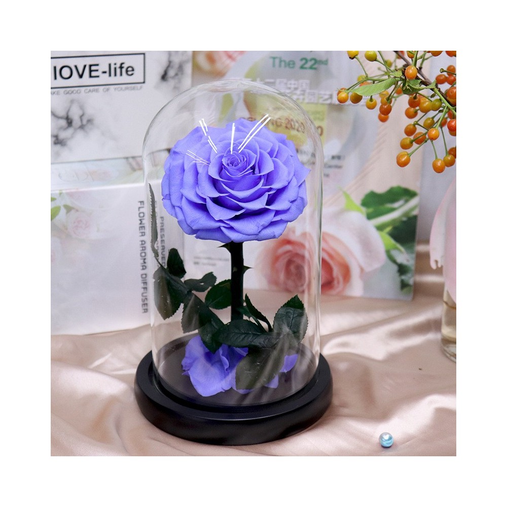 Aqua Excel Nano 50 / Nano 70 Mini Protein Skimmer Resif Akvaryumları için